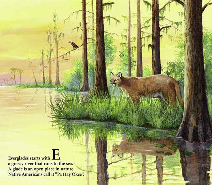 A FLORIDA Alphabet picture book: S is for Sunshine – Little-Minnows