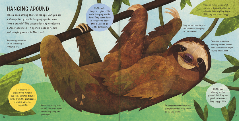 Sticker by Number: Rain Forest Sticker Book – Little-Minnows