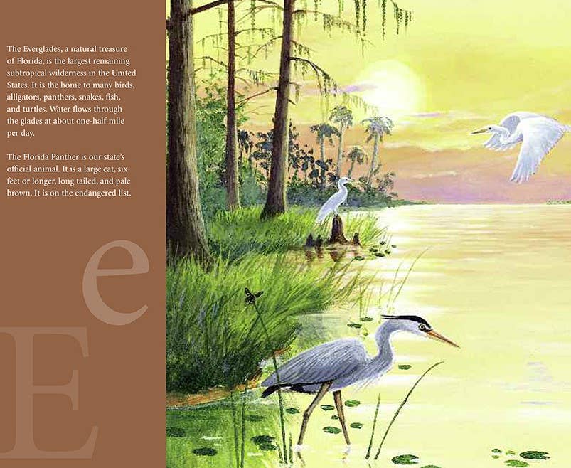 A FLORIDA Alphabet picture book: S is for Sunshine – Little-Minnows
