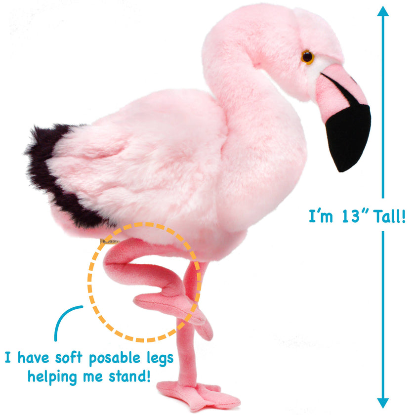 Fay The Flamingo | 13 Inch Stuffed Animal Plush – Little-Minnows