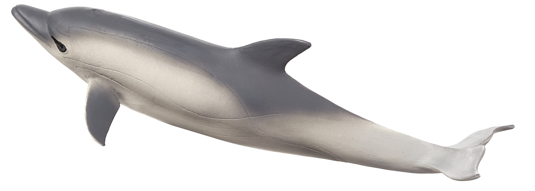 MOJO Common Dolphin – Little-Minnows